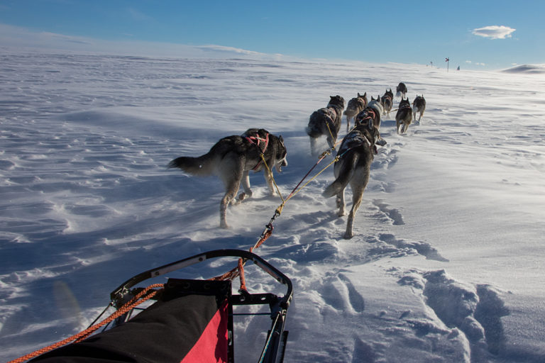 Jokkmokkguiderna • Wilderness Adventures in Swedish Lapland
