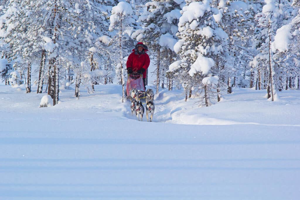 Jokkmokkguiderna • Wilderness Adventures in Swedish Lapland